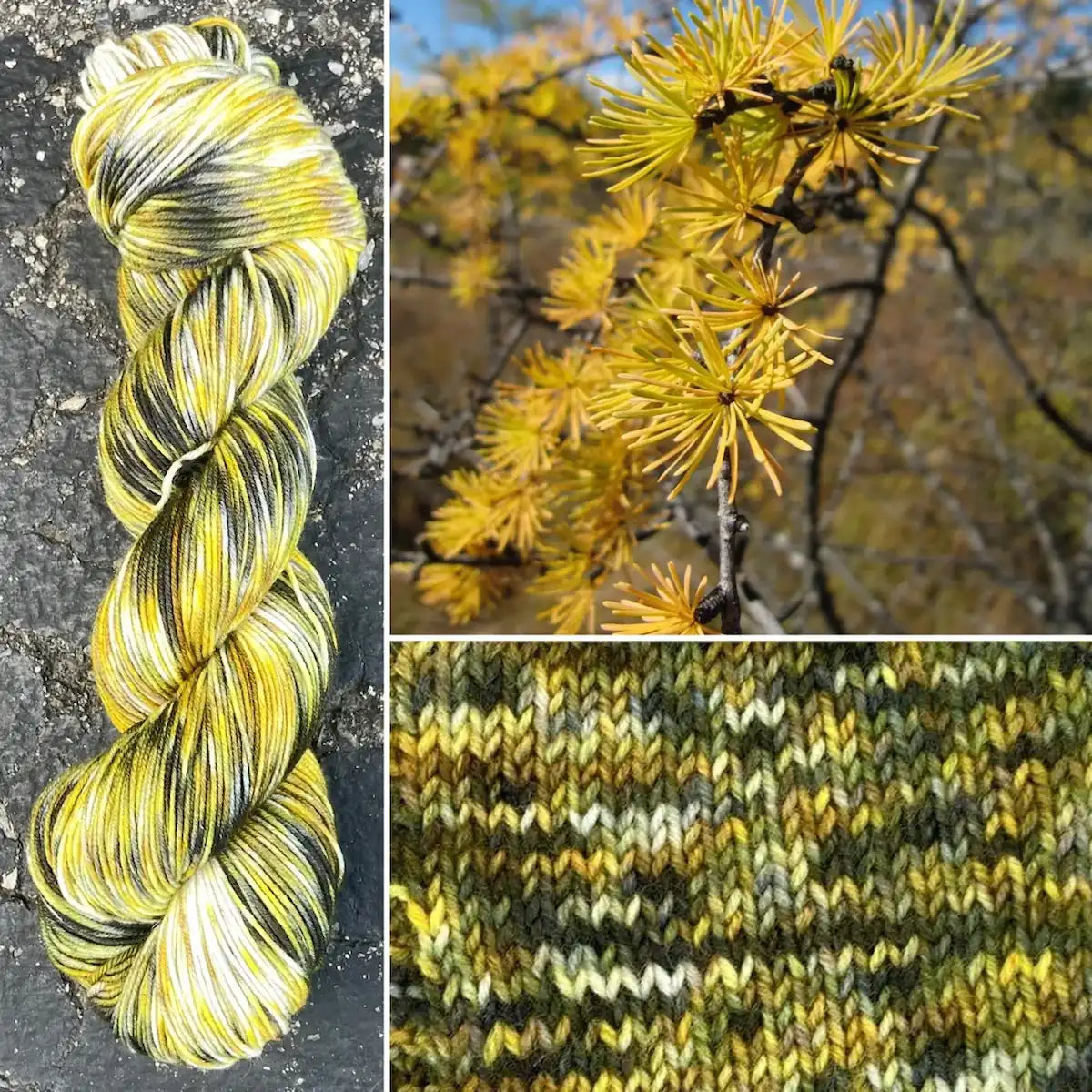 Tamarack Larch - Merino/Nylon Alder Fingering Yarn - Round Mountain Fibers