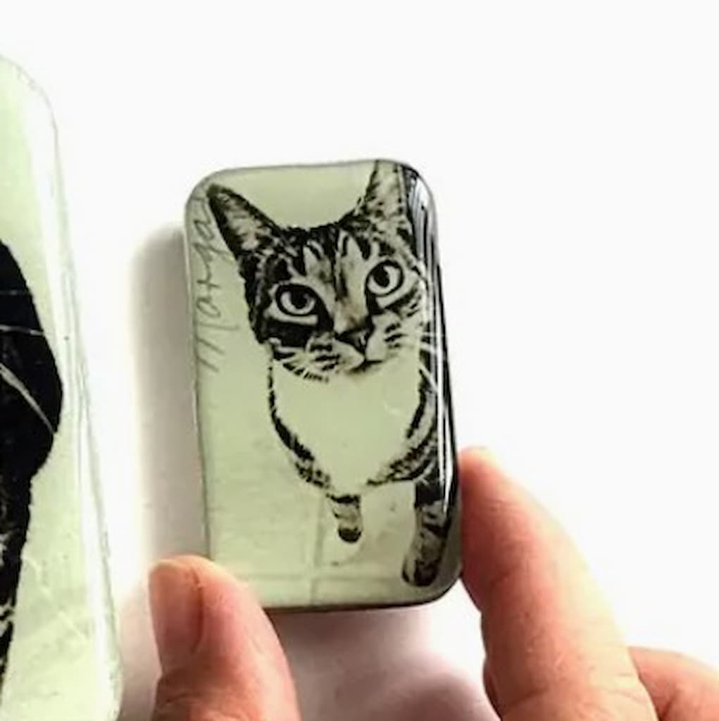 Firefly Notes Cat Notions Tin